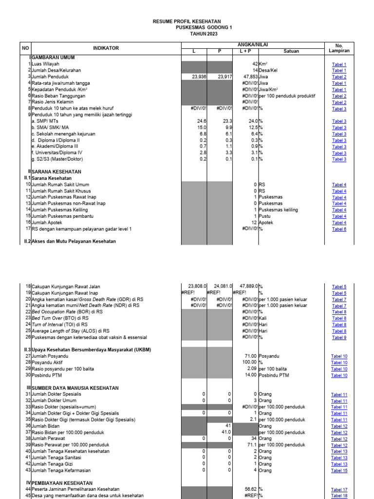 Revisi Godong 1 Lampiran Profil Kes 2023 | PDF
