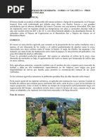 Sistema de Roza y Quema Maya | PDF | México | Agricultura