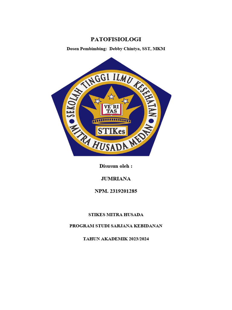 PATOFISIOLOGI IBU HAMIL Dengan HIPERTEENSI (JUMRIANA) | PDF