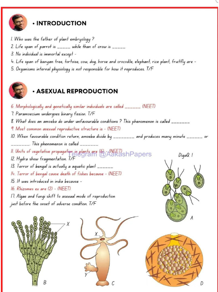 Bio Imp Questions | PDF
