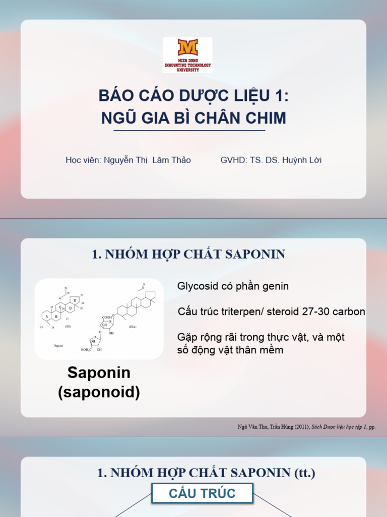 Slide Ngu Gia Bi | PDF