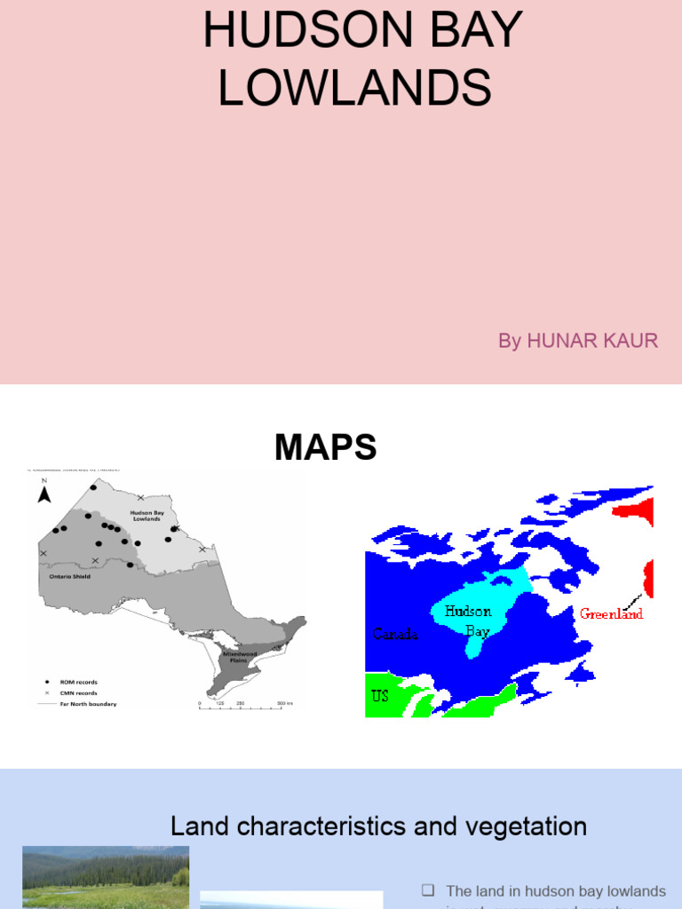 Hudson Bay Lowlands | PDF | Peat