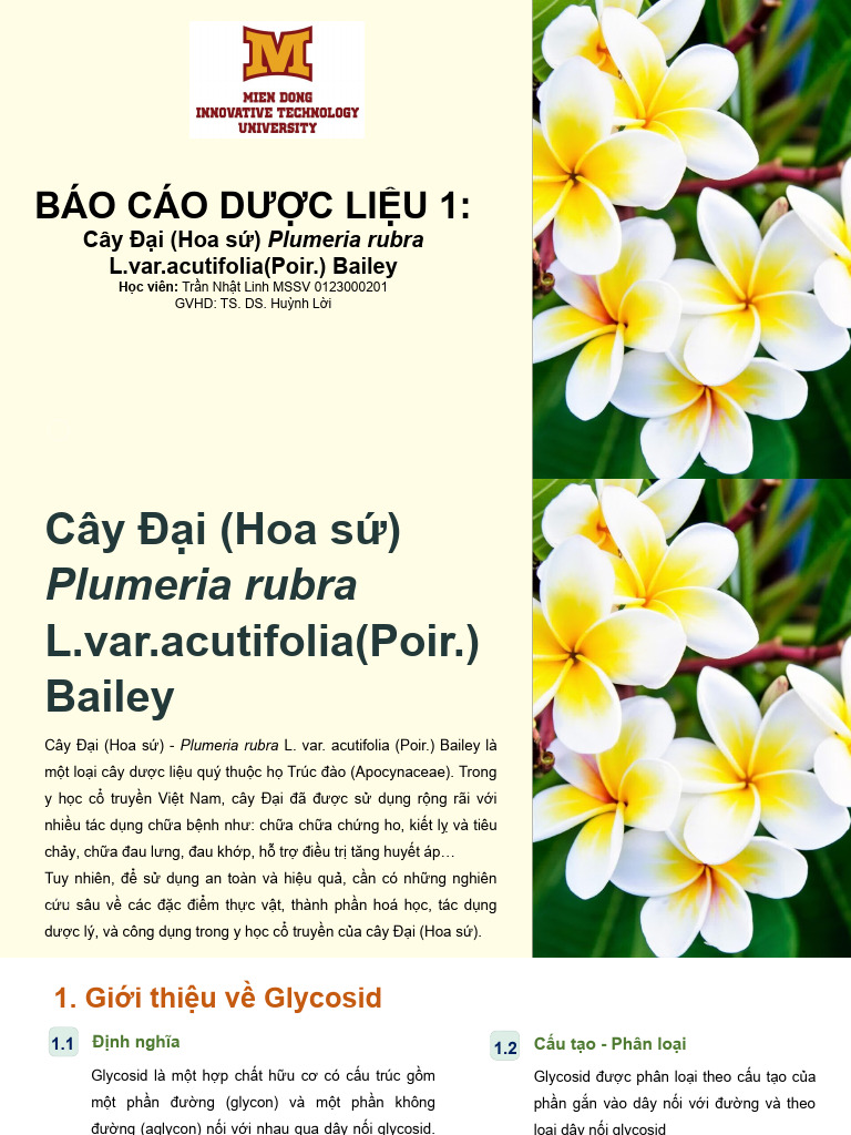 Slide Cay Dai 3 | PDF