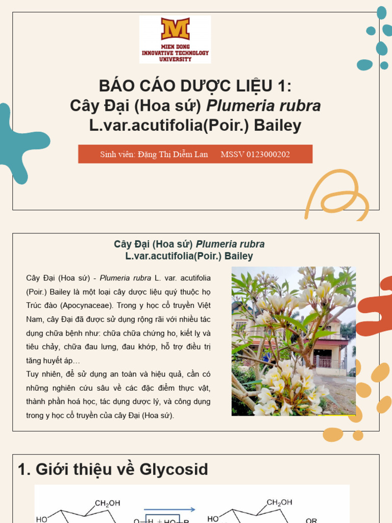 Slide Cay Dai 1 | PDF