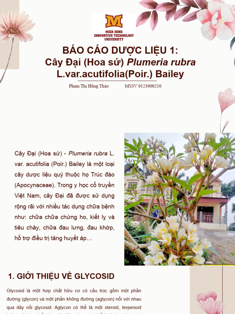 Slide Cay Dai 2 | PDF