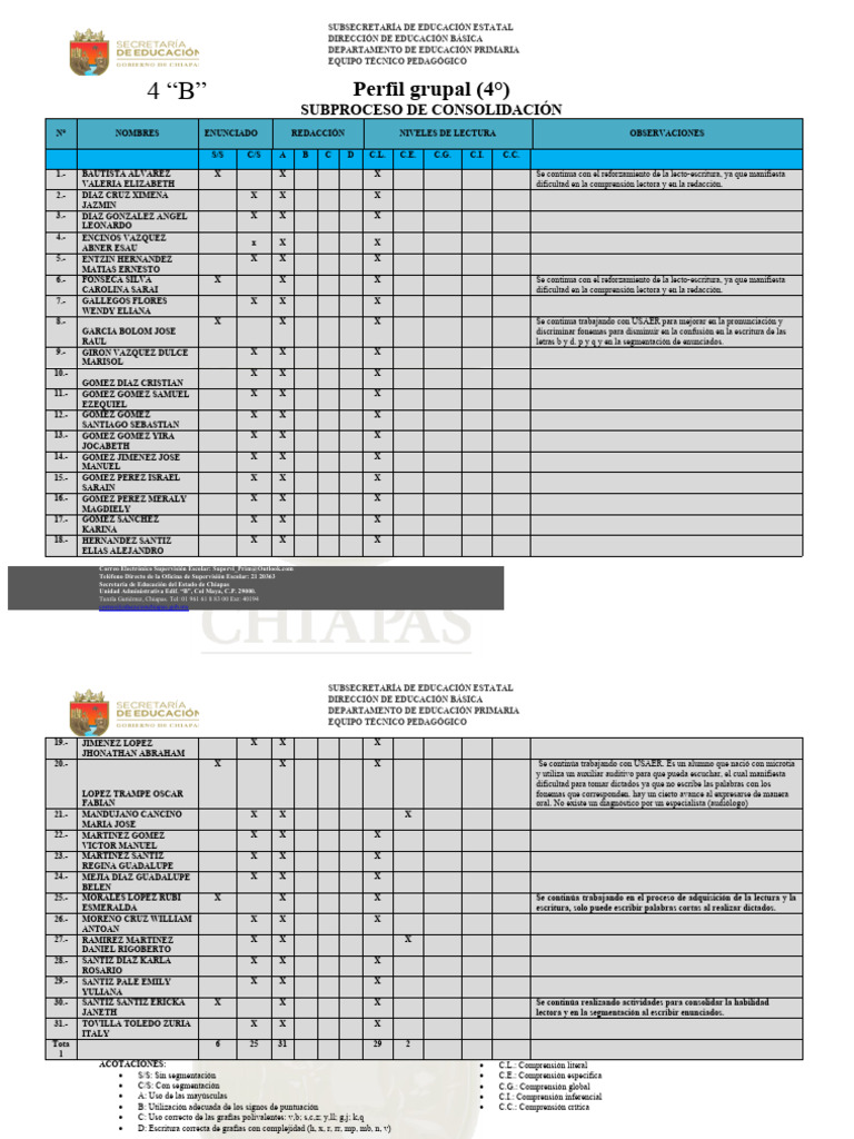 Perfil Grupal 4 B | PDF