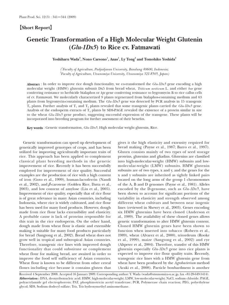 14. Gen-Transfor-Glu-1Dx5 | Download Free PDF | Gene | Transformation ...