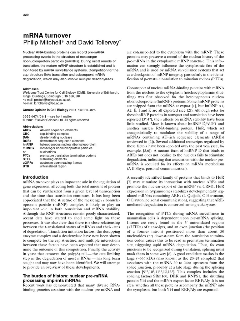 mRNA Turnover | PDF | Messenger Rna | Rna Splicing