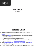 Costal Arch | PDF | Thorax | Thorax (Human Anatomy)