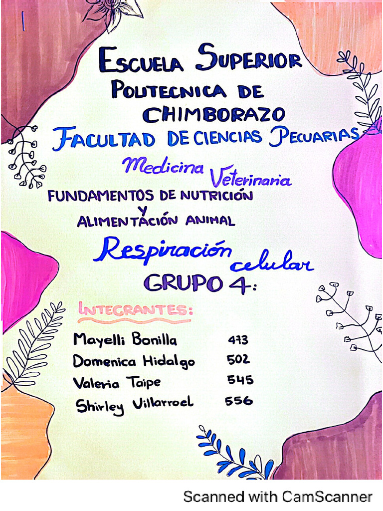 Grupo4. Trabajo Respiracion Celular | PDF