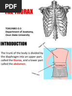 Thorax I & II Complete Anatomy Adil Bandok | PDF