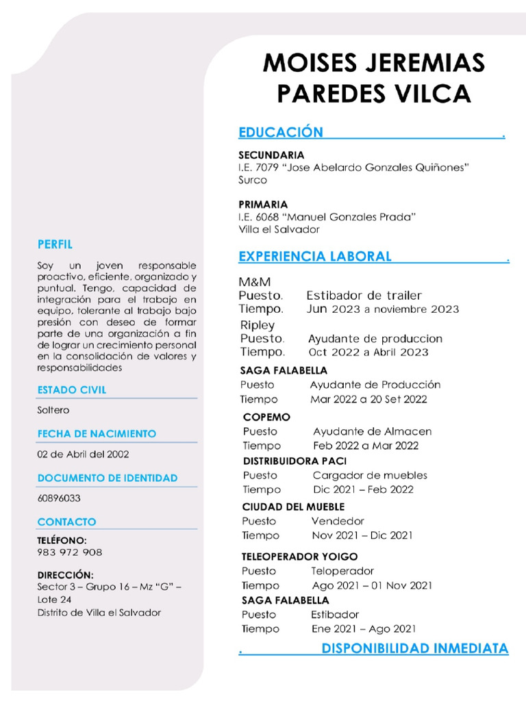 CV de Moises | PDF