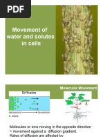 Kcse 2024 Bio Pp1 Ms - Code 01 | PDF | Cellular Respiration | Flowers