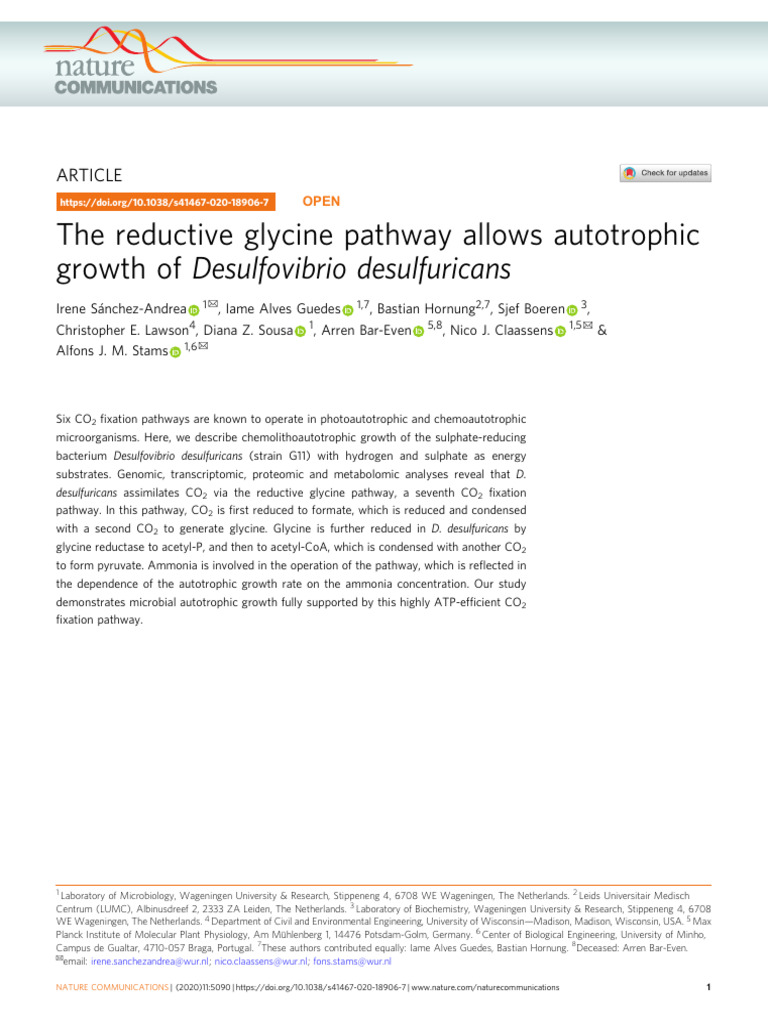 The Reductive Glycine Pathway Allows Autotrophic Growth of ...