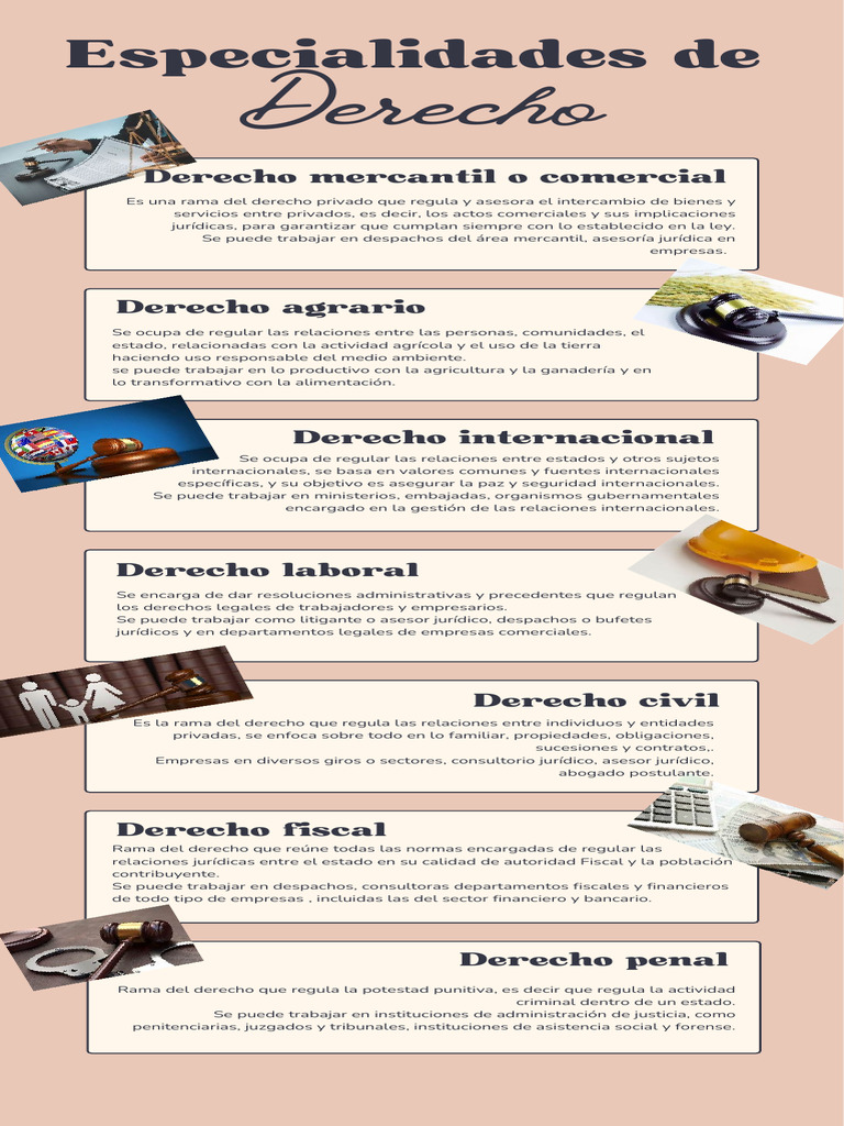 Infograf-A Eapecialidades de Derecho | PDF | Estado (política) | Business
