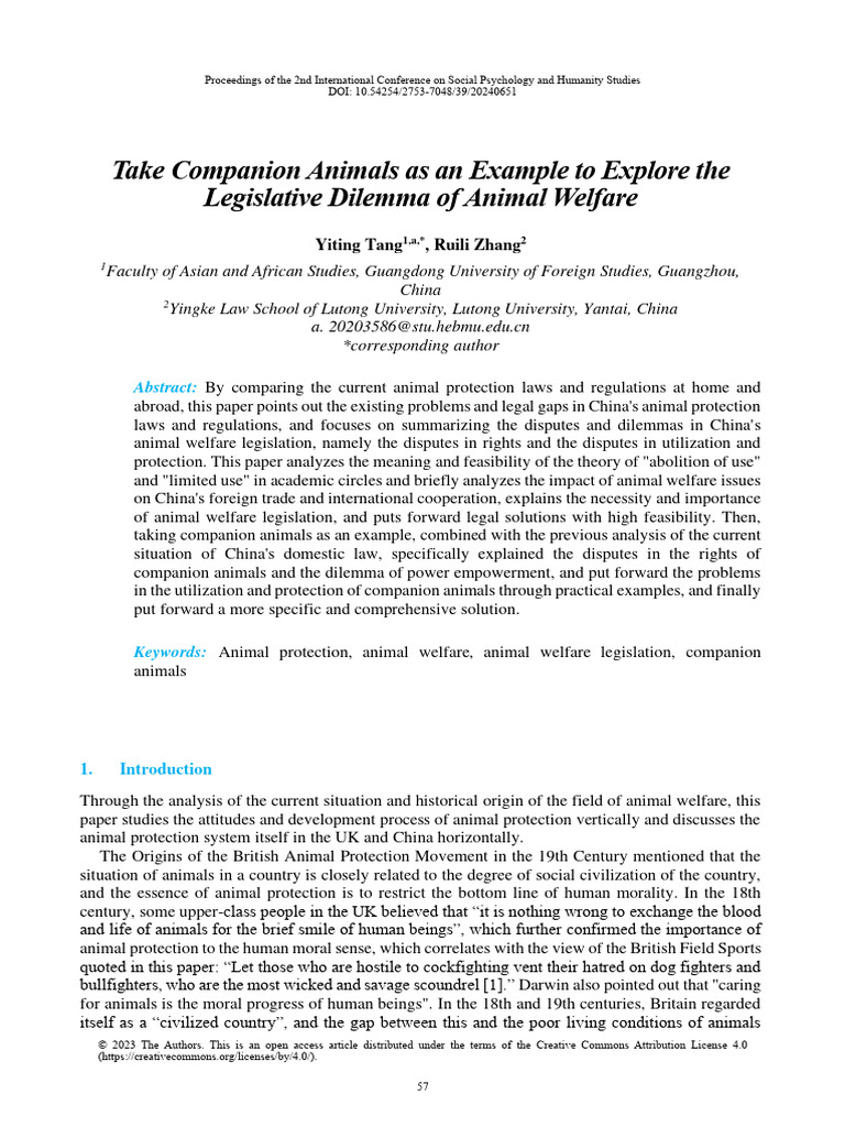 Take Companion Animals As An Example To Explore TH | PDF | Animal ...