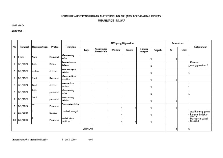 Form Audit APD | PDF