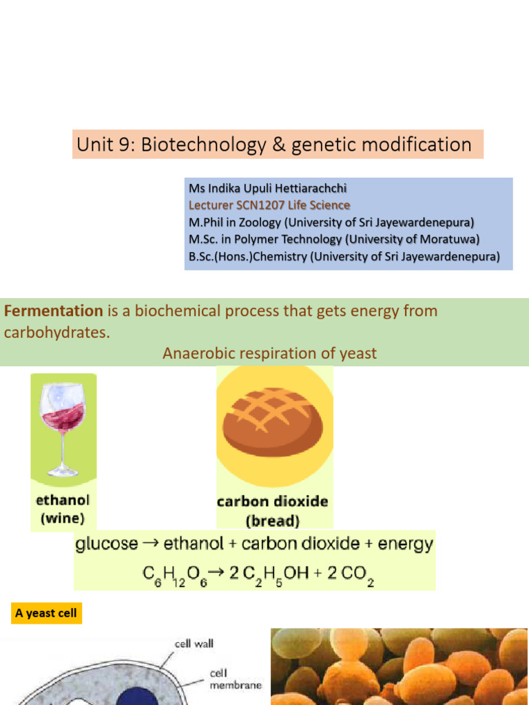 Unit 9 Biotechnology Genetic Modification | PDF | Genetic Engineering ...