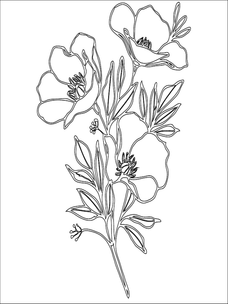 Tattoo | PDF