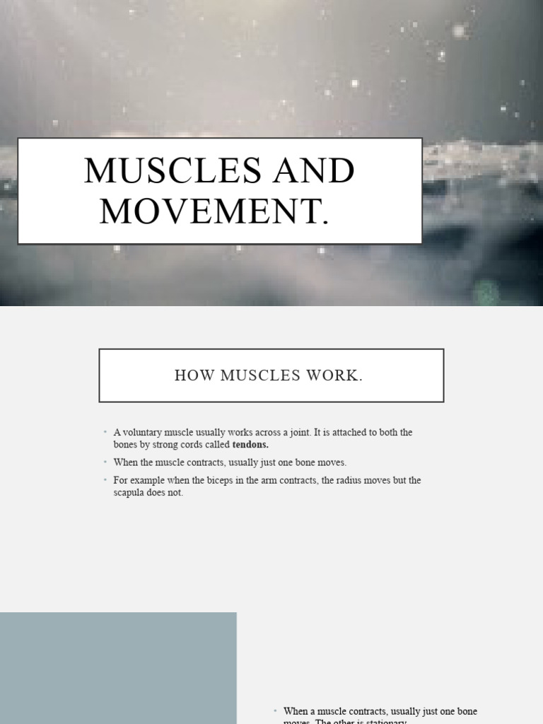 Muscle and Movement | PDF | Self-Improvement | Wellness