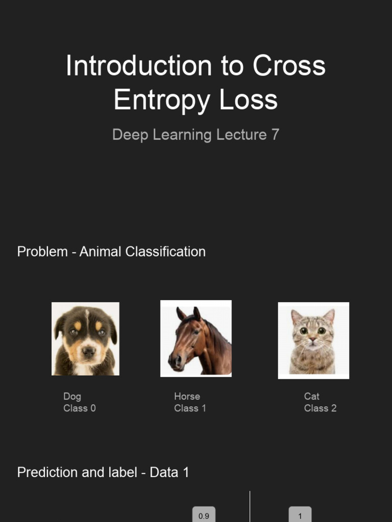 Introduction to Cross Entropy Loss | Download Free PDF | Artificial ...