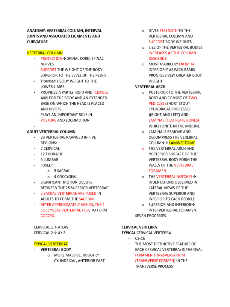 Vertebral Column Anatomy Guide | PDF | Vertebra | Vertebral Column