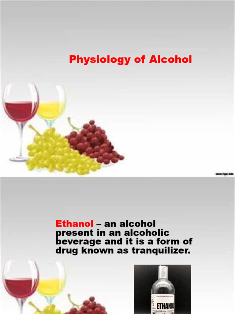 Physiology of Alcohol | Download Free PDF | Alcoholic Beverages ...