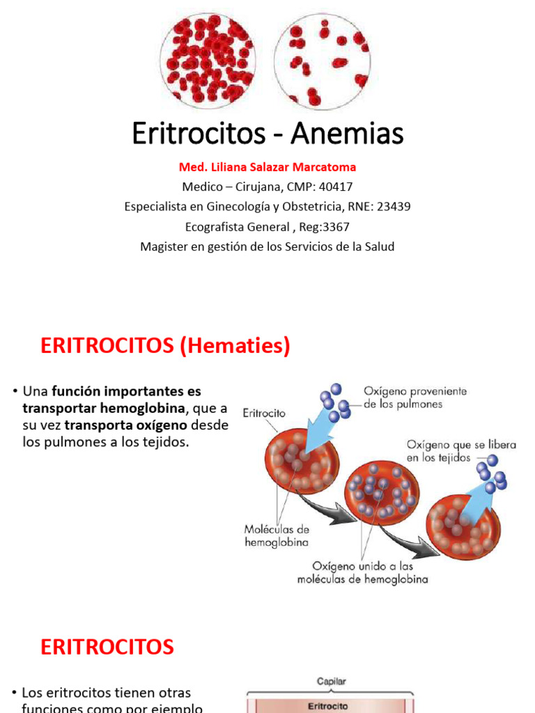 Eritrocitos y Anemias: Funciones y Tipos | PDF | Glóbulo rojo | Sangre