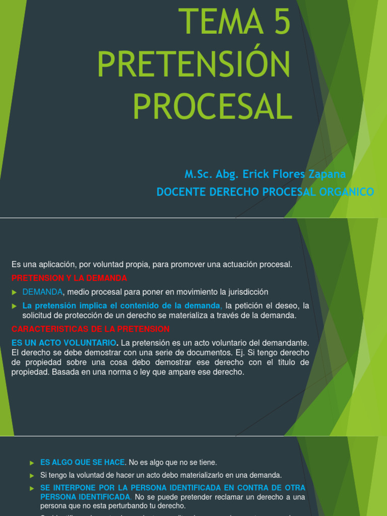 Elementos y Tipos de Pretensión Procesal | PDF | Demanda judicial | Ley ...