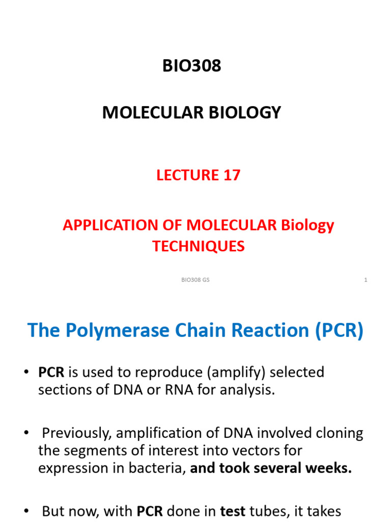 Bio308 L17 Application of Molecular Techniques | PDF | Polymerase Chain ...
