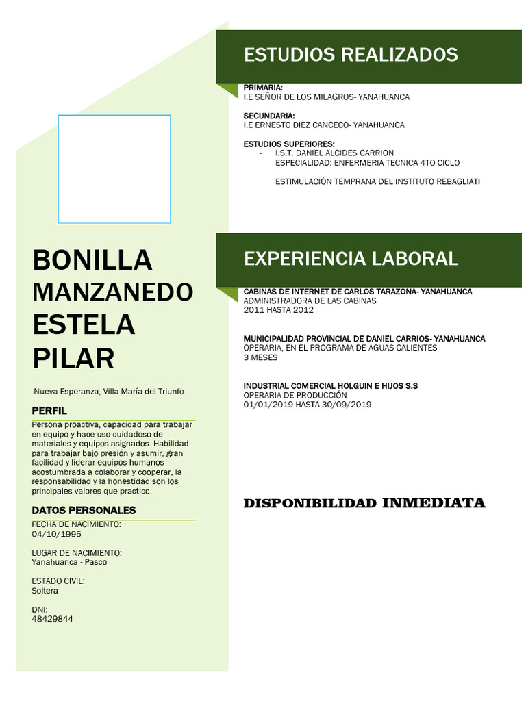 Perfil Profesional de Estela Bonilla | PDF