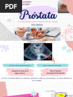 Próstata - Anatomía, Histología y Función - Kenhub | PDF | Próstata ...