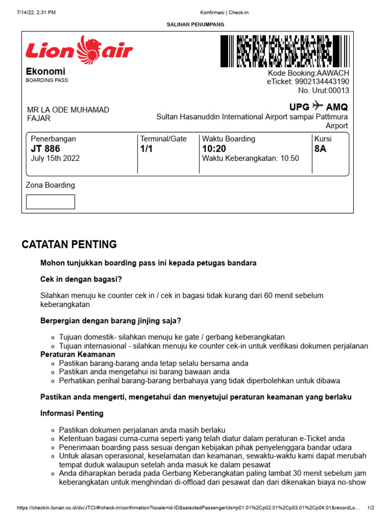Boarding Pass Lion | PDF