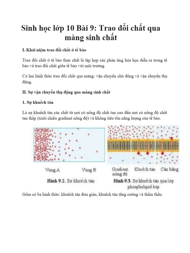 Sinh học lớp 10 Bài 9 | PDF