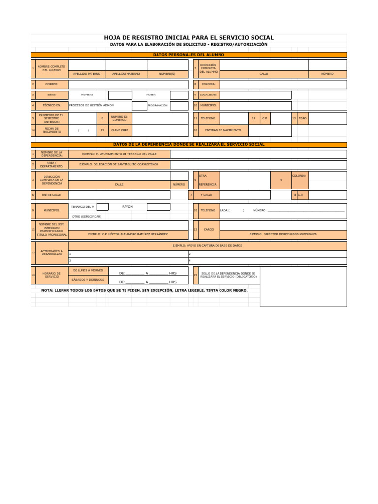 Formato para Alta Ss - Hoja de Registro Inicial | PDF