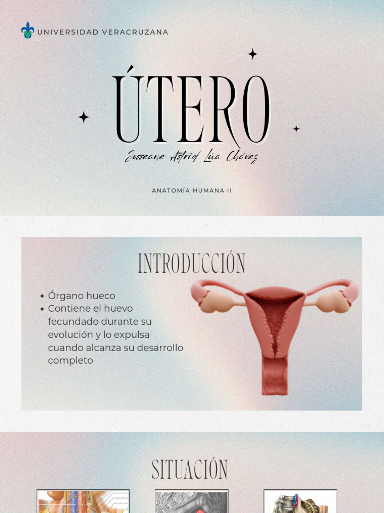 Presentación - Útero - Anatomía Humana II | PDF | Útero | Vagina