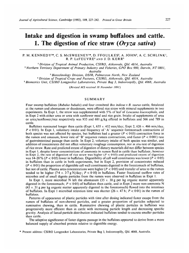 Intake And Digestion In Swamp Buffaloes And Cattle Pdf Digestion
