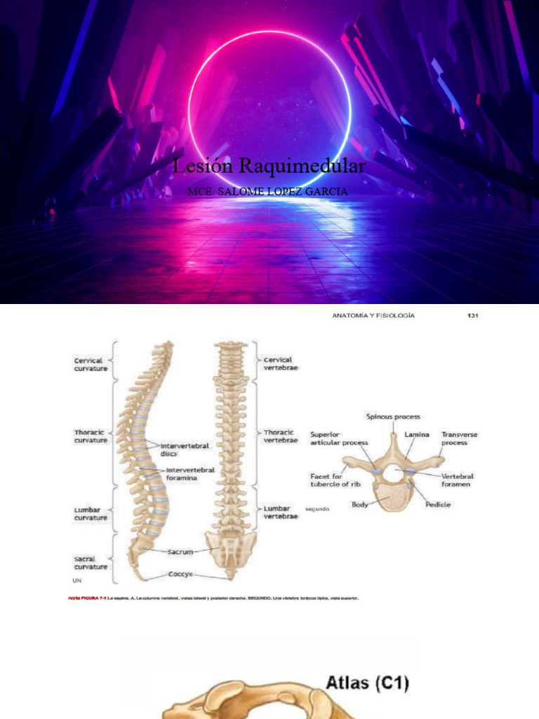 LesiAn Raquimedular | PDF | Choque (circulatorio) | Médula espinal