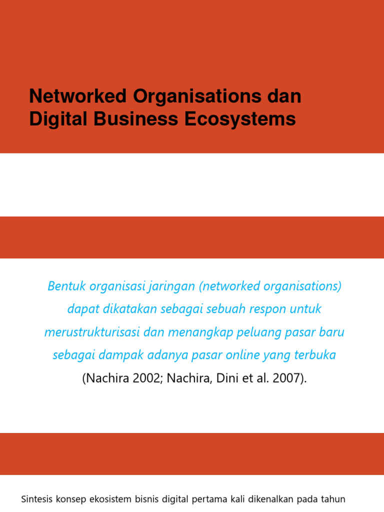 Networked Organisations Dan Digital Business Ecosystems | PDF