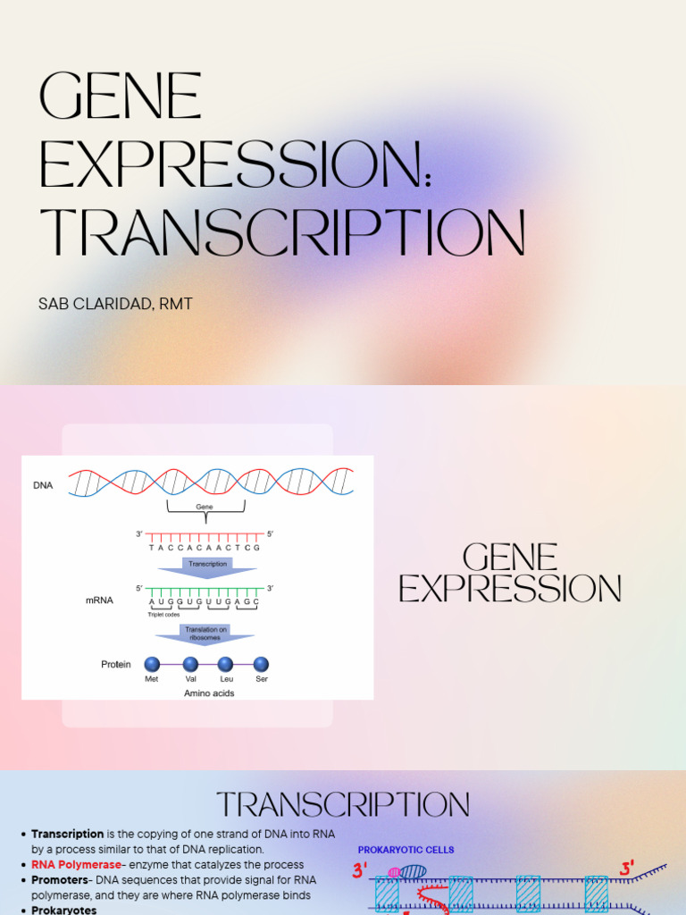 GENE EXPRESSION | Download Free PDF | Translation (Biology) | Ribosome