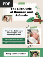 Dolphin Life Cycle | PDF | Mammals | Biology