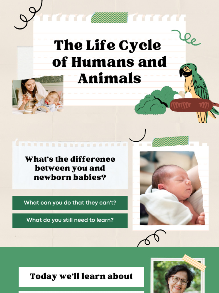 Life Cycle of Humans and Animals Education Presentation in Cream Green ...