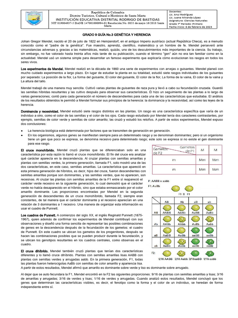 9° Guía Genética y Herencia 2024 | PDF | Dominancia (Genética) | Cigosidad