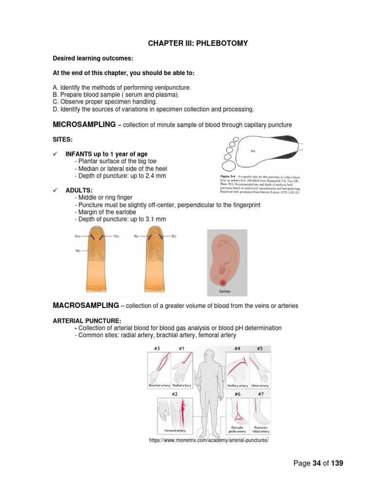 UB CLICHM1 Phlebotomy and Specimen Processing | PDF | Vein | Blood Plasma