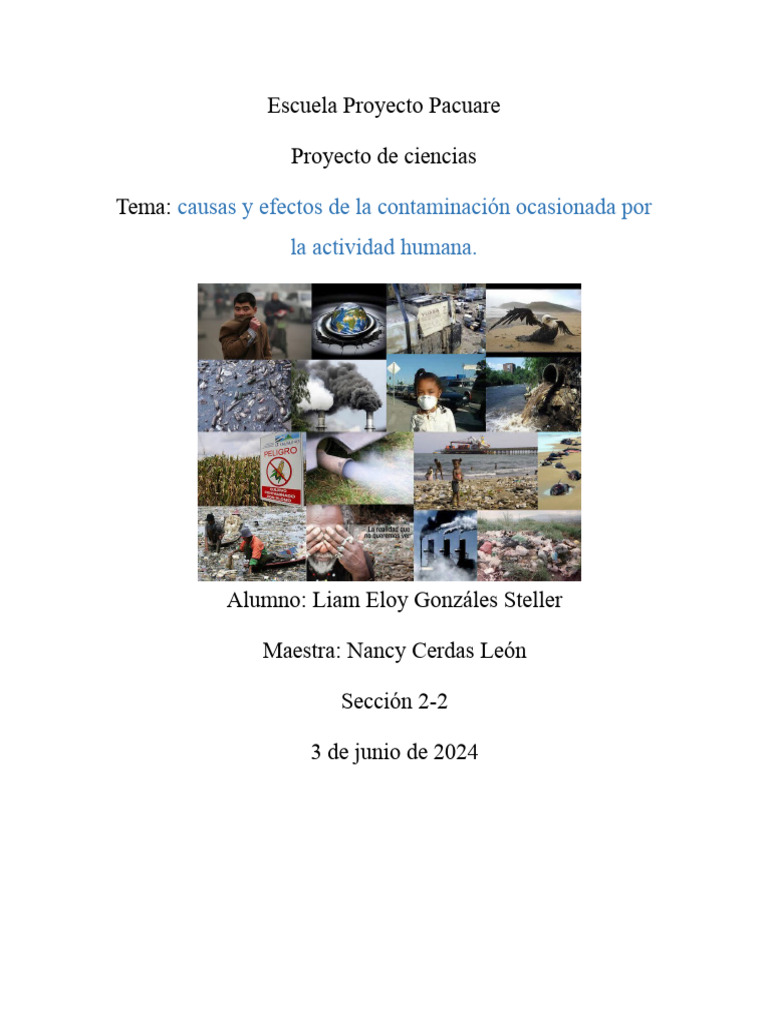 Liam Proyecto | PDF | Contaminación | La contaminación del aire