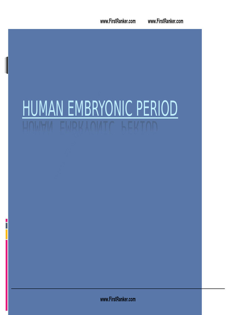 Human Embryonic Period | Download Free PDF | Biology | Tissue (Biology)
