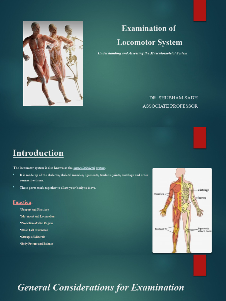 LOCOMOTORY EXAMINATION | PDF | Human Musculoskeletal System | Anatomical Terms Of Motion