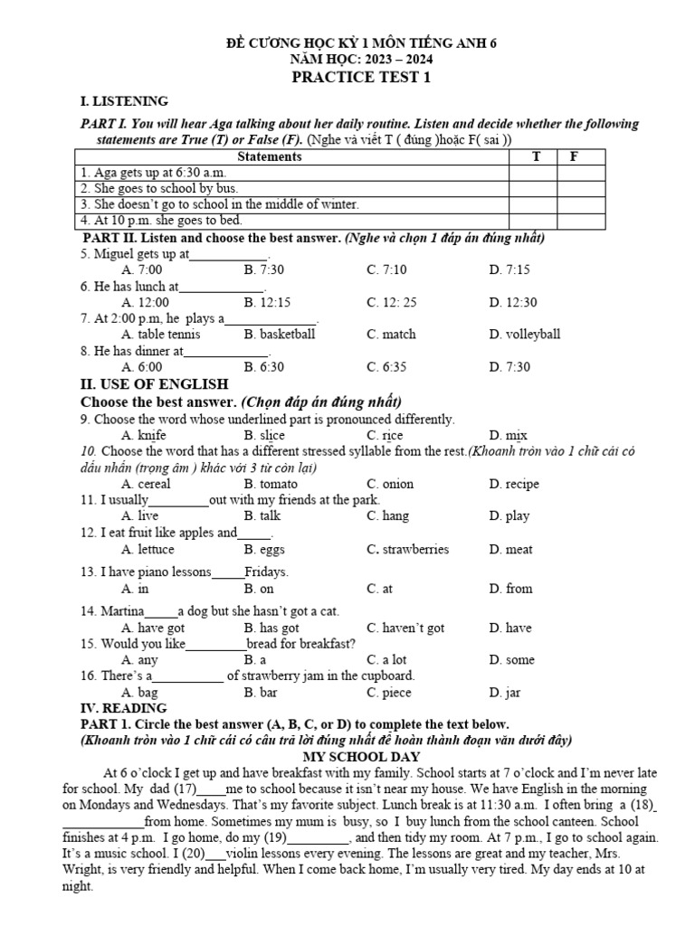 AV 6-ĐỀ CƯƠNG ÔN TẬP HK1 | PDF | Lunch | School Meal