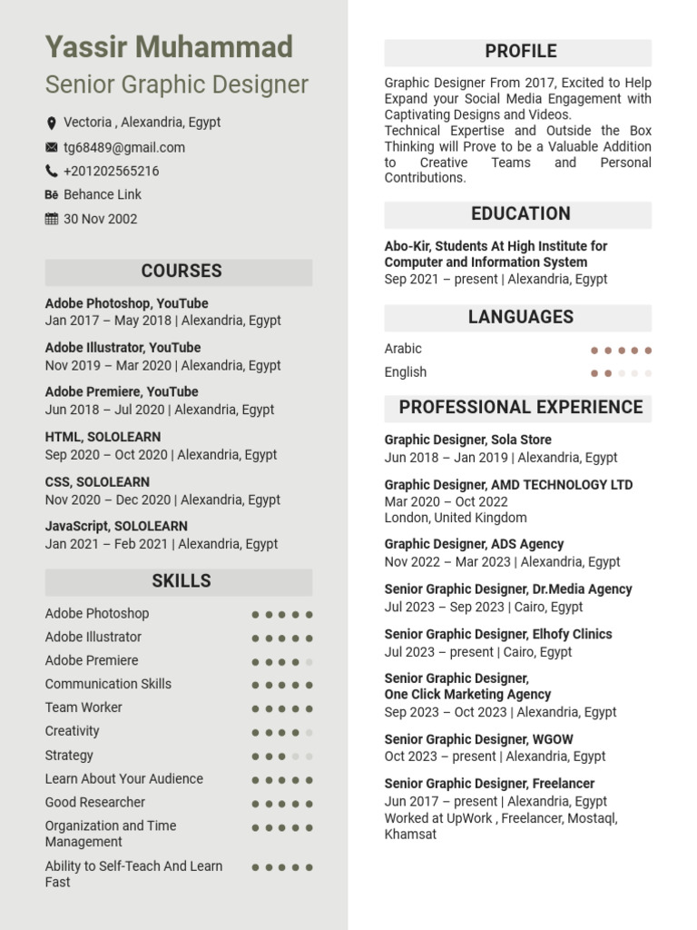 Senior Graphic Designer Profile & Skills | PDF | Egypt | World Wide Web