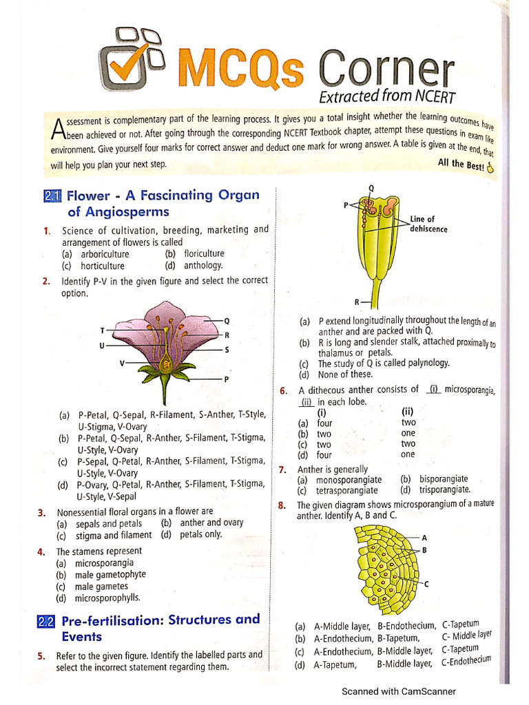 12TH. Bio MCQ CH-2 | PDF